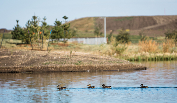 Welcome to Blatchford | City of Edmonton