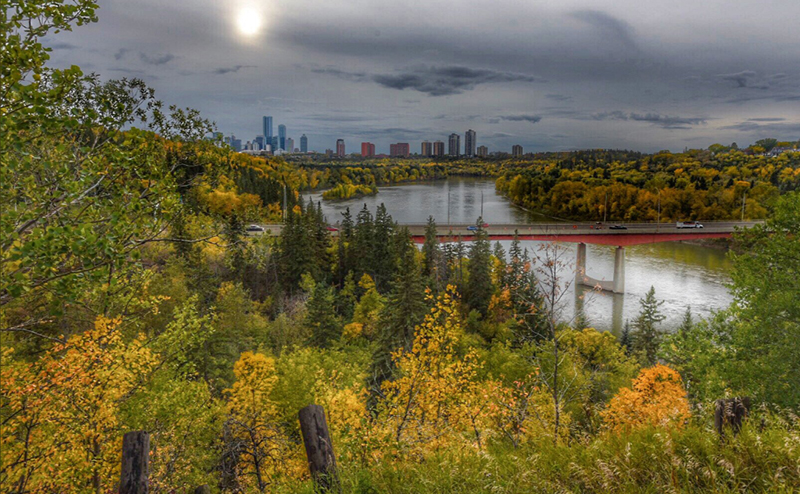 Trees and Urban Forestry | City of Edmonton