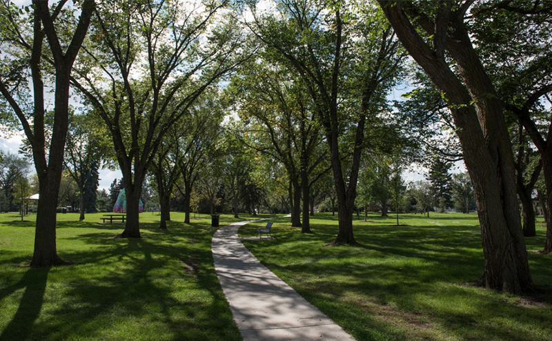 Trees and Urban Forestry | City of Edmonton