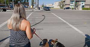 Safe Crossings Program | City of Edmonton