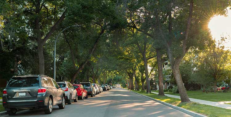 Boulevards | City of Edmonton