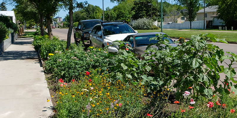 Boulevard Gardening | City of Edmonton