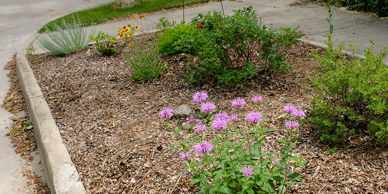 Boulevard Gardening | City of Edmonton