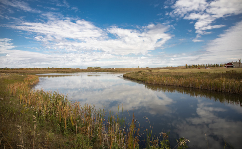 Northeast River Valley Park | City of Edmonton