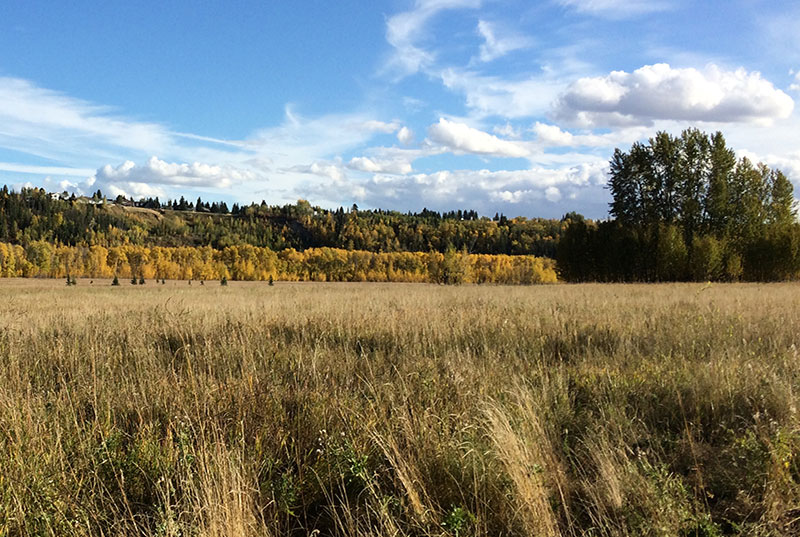 Jan Reimer Park | City of Edmonton