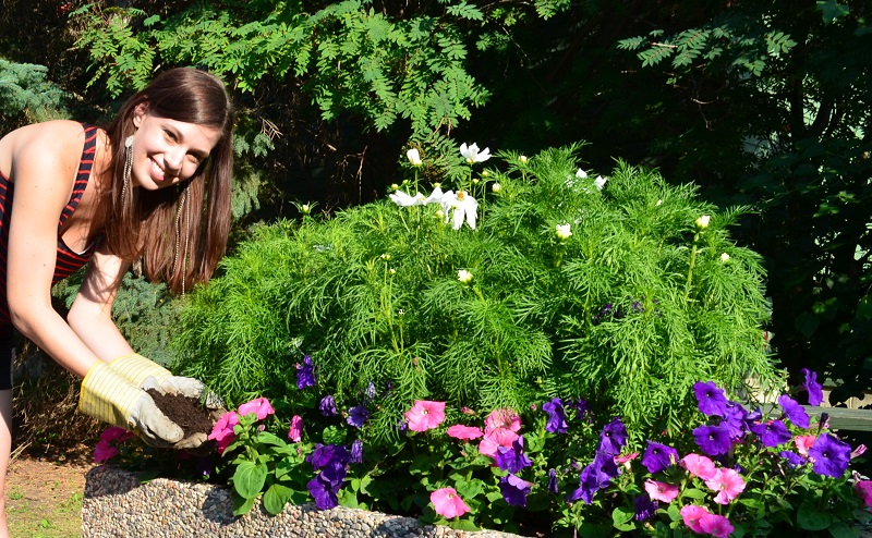 Free Compost | City of Edmonton