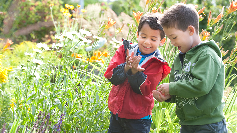 Free Compost | City of Edmonton