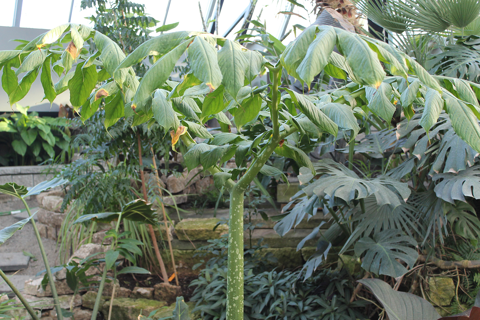 Discover the Pyramids | City of Edmonton