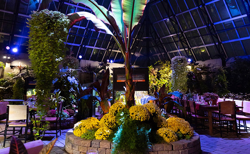 Muttart Conservatory | City of Edmonton