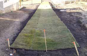 Drainage Swale Design