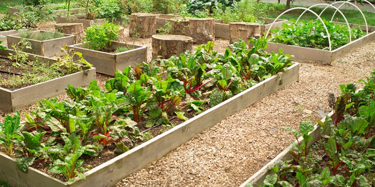 City of Edmonton Compost Sales | City of Edmonton