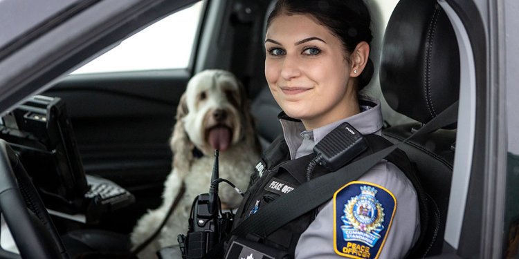 Animal Protection | City of Edmonton