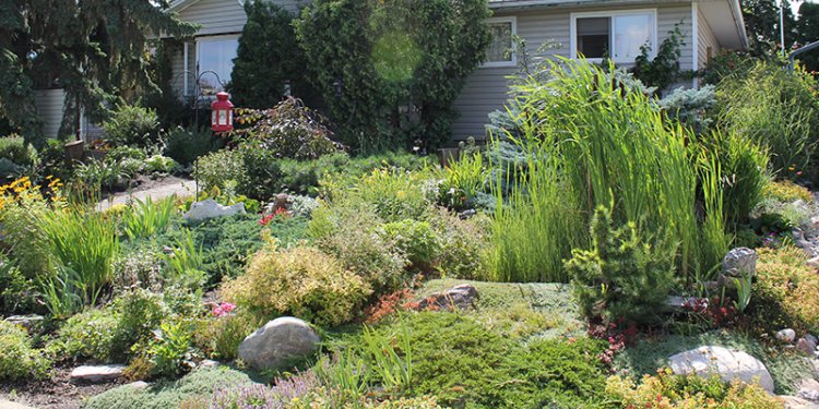 Gardens, Lawns, Trees | City of Edmonton