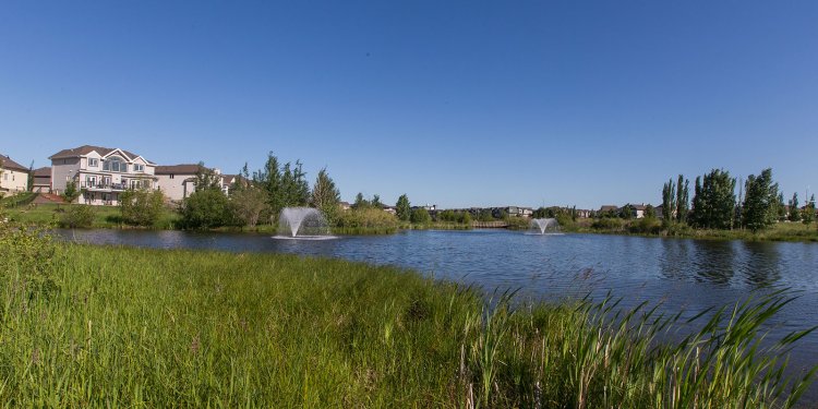 Naturalization Initiatives | City of Edmonton