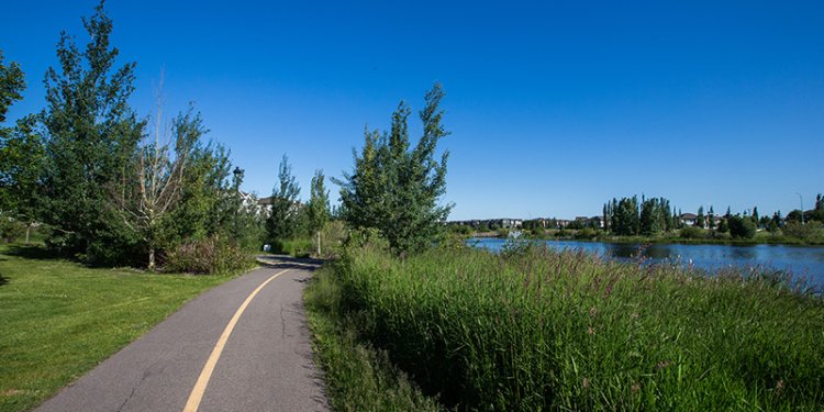 Trees and Urban Forestry | City of Edmonton