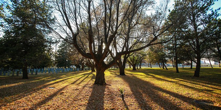 Beechmount Cemetery | City of Edmonton